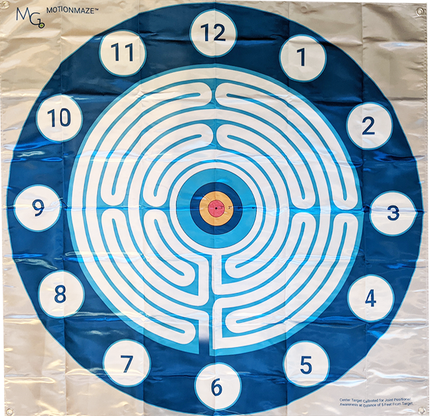 Motion Maze Tracking Grid for vestibular and motor control exercise ...